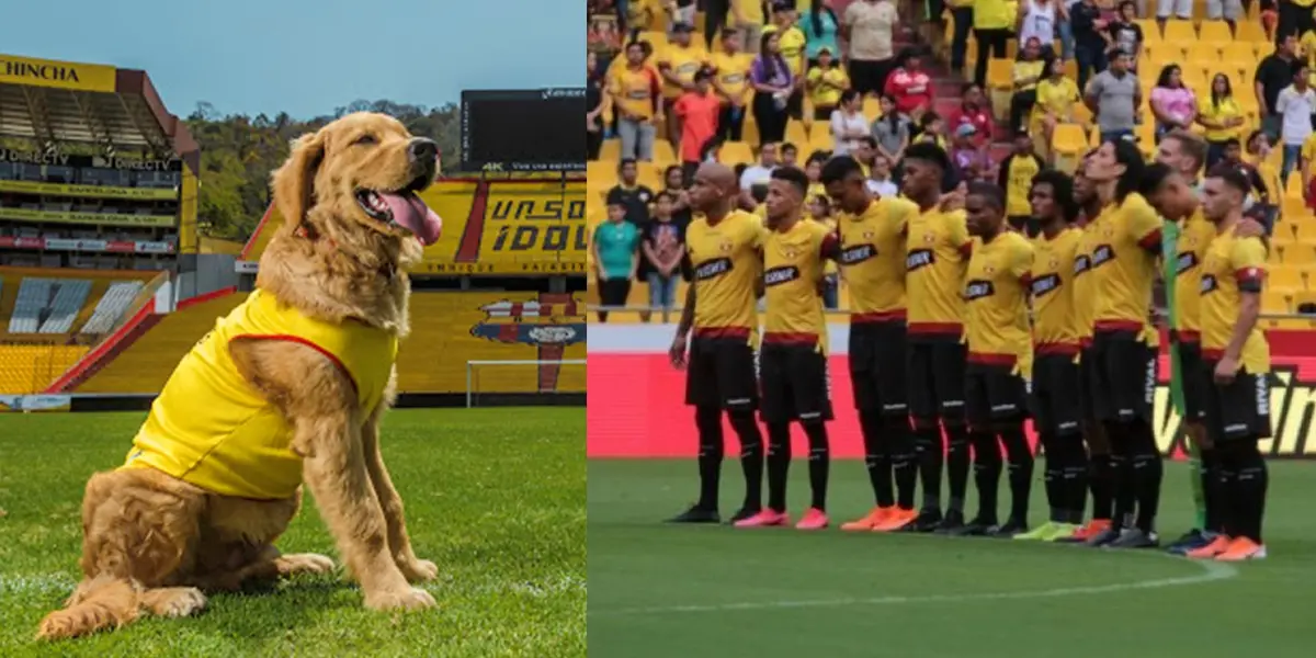 En Barcelona SC ya no se harán cargo de Coloso, la mascota oficial del club